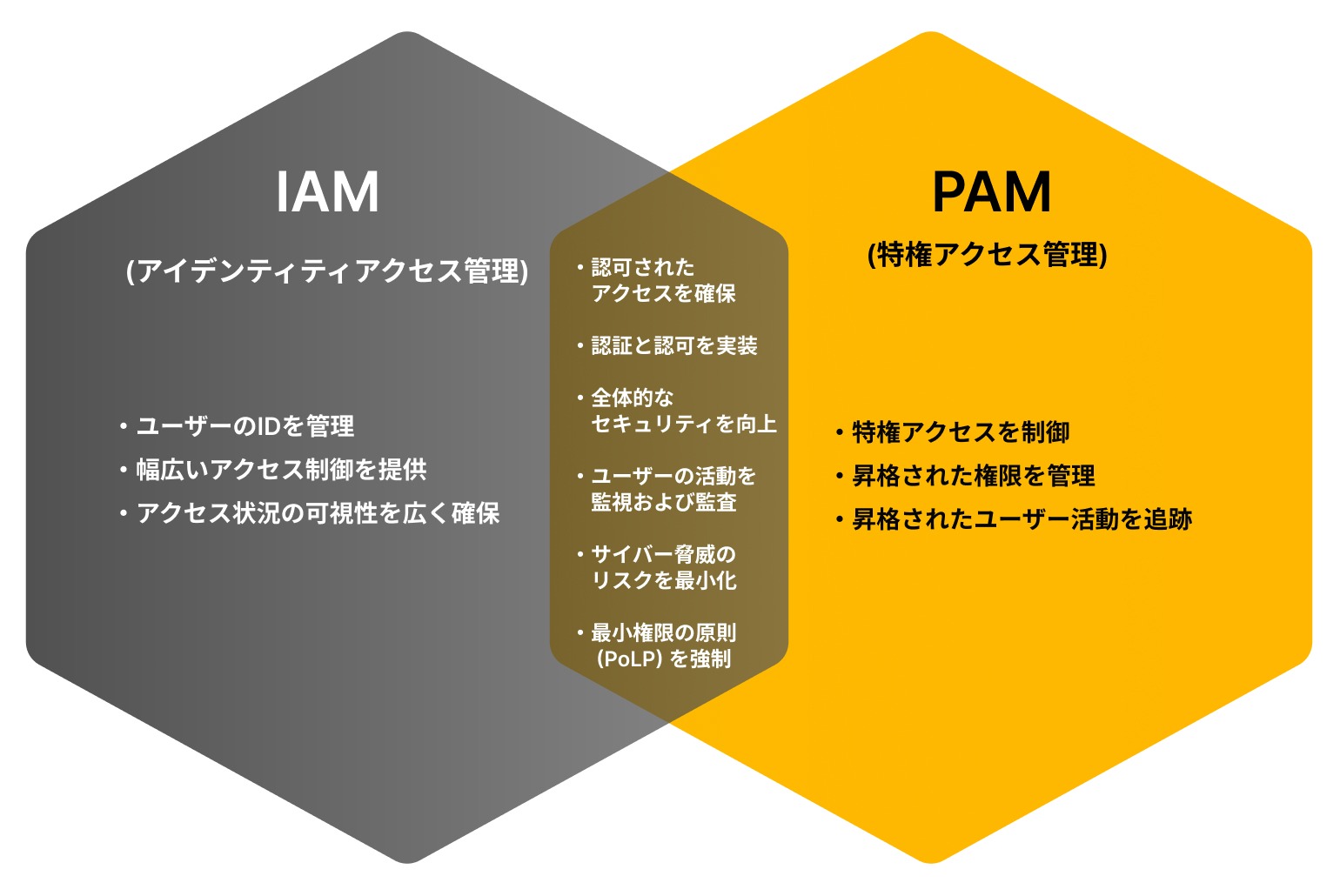 IAMとPAMの違いとは？
