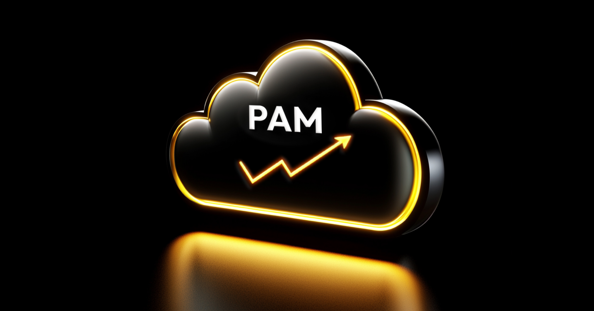 How To Adjust Your PAM Strategy for Growth