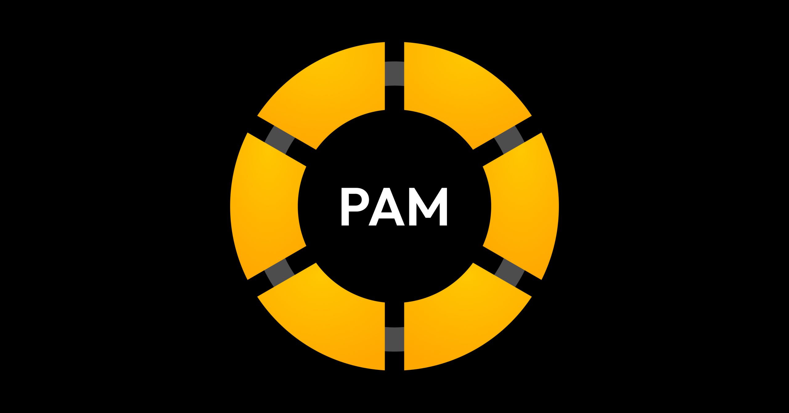 Do You Need More Than One PAM Solution?