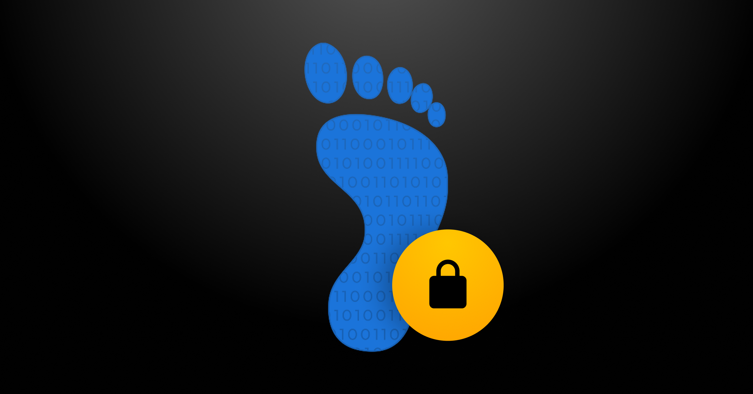 How To Protect Your Digital Footprint