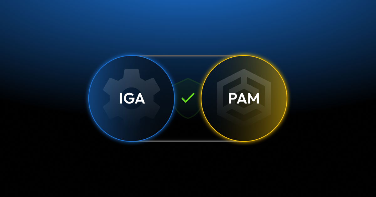 Why Organizations Need Both IGA and PAM